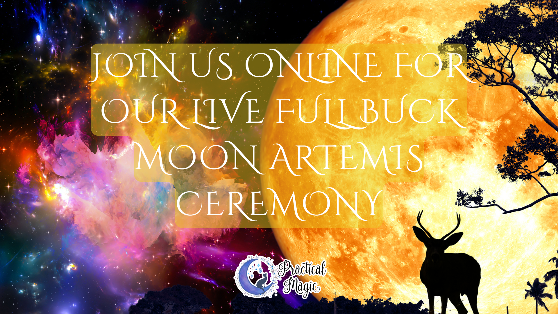 Practical Magic – Practical Magic Store