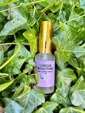 Practical Magic – Practical Magic Store